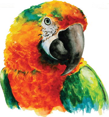 Free Graphics And Color Swatches for download!